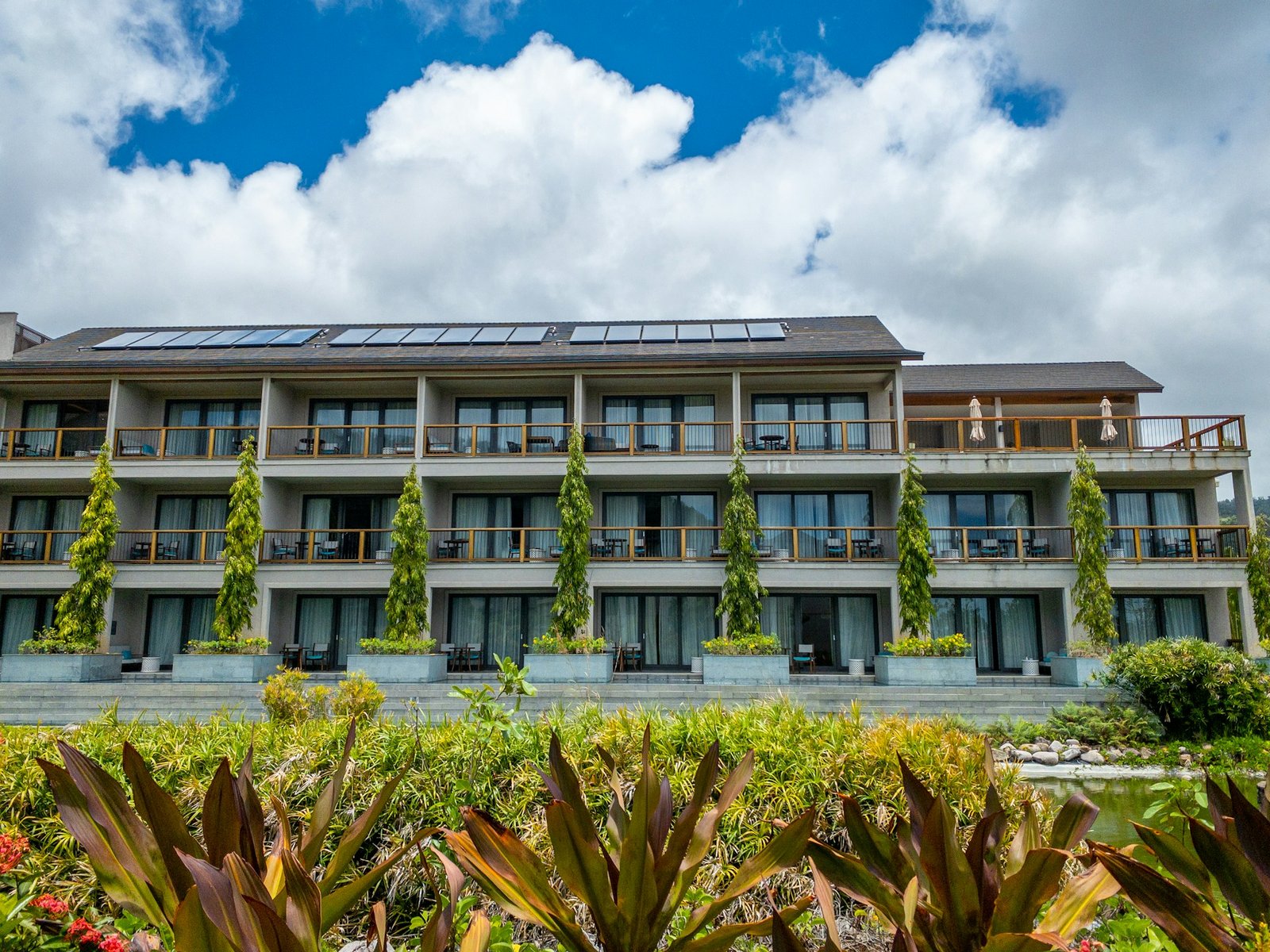 Dominica Citizenship By Investment Program | A Complete Guide ...